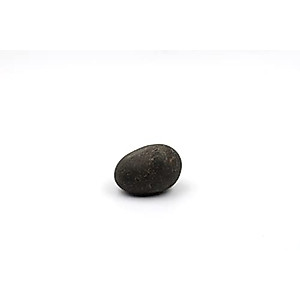 WW Will and Weaves Shaligram Shila Natural Stone Laxmi Narayan Abhimantrit Shree Shaligram with Box