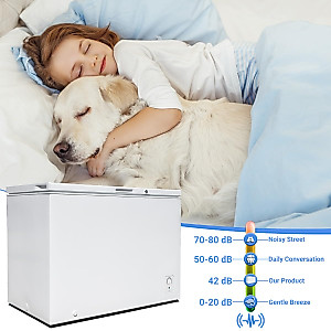 Smad Chest Freezer 10 Cu. Ft. Large Deep Freezer with Lock and 3 Removable Basket, Adjustable Thermostat, Low Noise, Garage Ready Chest Freezer for Home, Kitchen, and Basement, White