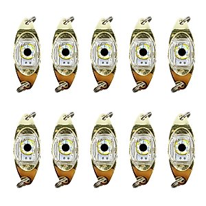 JOJOCY 10 Pack Fishing Lures Fishing Spoons Underwater Flashing Strobe LED Fishing Lights Waterproof Diamond Lights Trolling Lures Halibut Rig Deep Drop Fishing Light