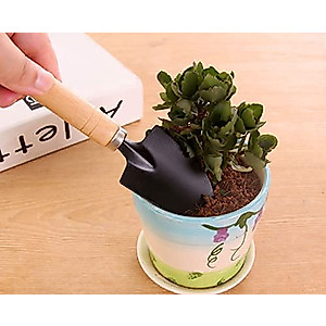 TPELKY Mini Garden Tools Set of 3 Mini Garden Tools Spade/Rake/Spade set of gardening tools