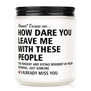 Coworker Leaving Gifts for Women Men, Goodbye Gifts for Coworkers, Farewell Gifts for Coworkers, Going Away Retirement Gift for Boss, Friends, Work Bestie, Lavender Scented Candle