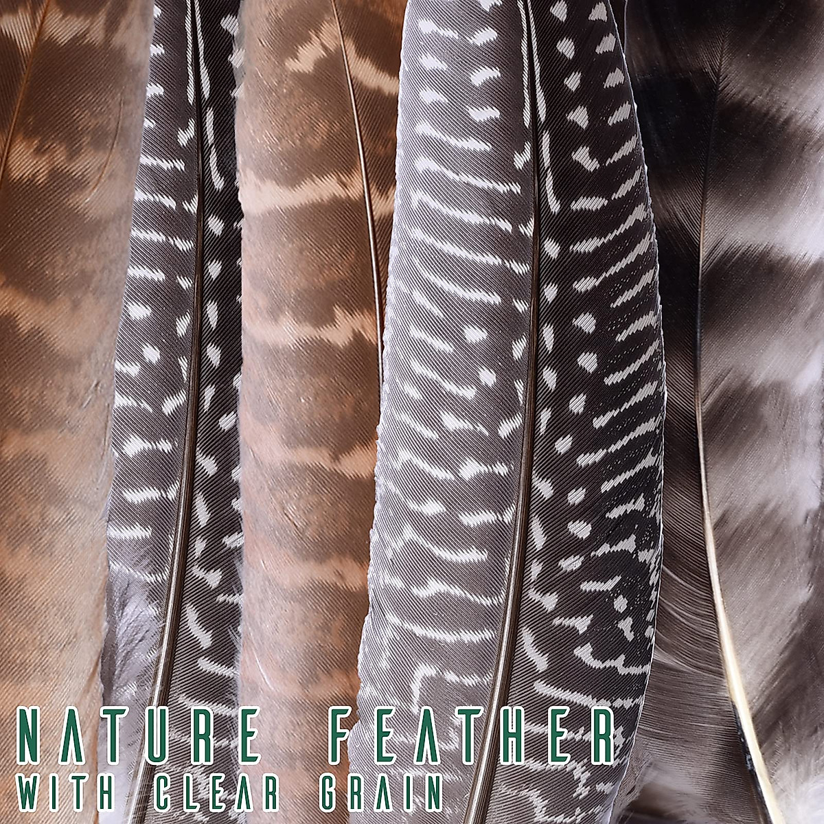 Natural Turkey Spotted Feathers for Crafts Pheasant Feathers DIY Wedding Home Party Decorations 36Pcs