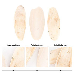 Scicalife Bird Cuttlebone for Parakeets,8-12cm Natural Cuddle Bone, Chewing Cuttlefish Bone for Sharp Beaks, Natural Birds Calcium Suitable for Parrot Cockatiels Budgie Conures (Beige)