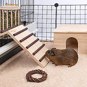 Niteangel Wooden Cage Bridge for Rabbits, Guinea Pigs and Chinchilla, Large Size