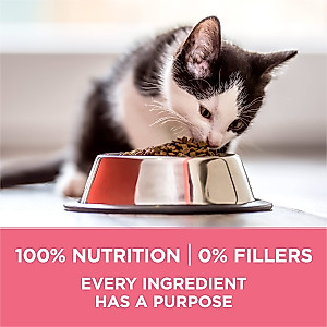 Purina ONE High Protein, Natural Dry Kitten Food, +Plus Healthy Kitten Formula - 16 lb. Bag