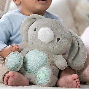 Ingenuity Heart to Hugs Sylvi Soothing Plush Toy with Lights, Vibrations, & Music