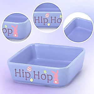 Easter Mini Candy Dish Set of 2 Ceramic Bowl for Tiered Tray Decor Jelly Beans Hip Hop Bunny Easter Egg Table Shelf Decorations Cookie Spring Party Farmhouse Home Decor Housewarming Gift Idea