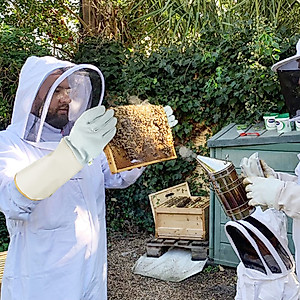 Luwint Leather Long Garden Gloves, Thorn Proof Rose Pruning Elbow Length Gardening Gloves for Men and Women, 1 Pair (L)