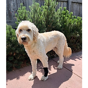 Labra Dog Canine Knuckling Corrector Toe Dragging Brace Wrap for Front or Rear Back Leg Paw