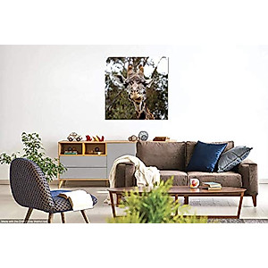 Funny Giraffe Photo on CANVAS Fine Art Print Zoo Animal Photography Children's Room Decor Ready to Hang