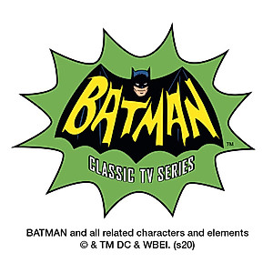 Batman Classic TV Series Robin Boy Wonder Stainless Steel Tumbler 20 oz Coffee Travel Mug/Cup, Vacuum Insulated & Double Wall with Leakproof Sliding Lid | Great for Hot Drinks and Cold Beverages