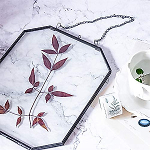 NCYP Wall Hanging Black 8X10 inches Long Octagon Herbarium Brass Glass Frame for Pressed Flowers, Dried Flowers, Poster, Double Glass, Floating Frame Style, Glass Frame Only