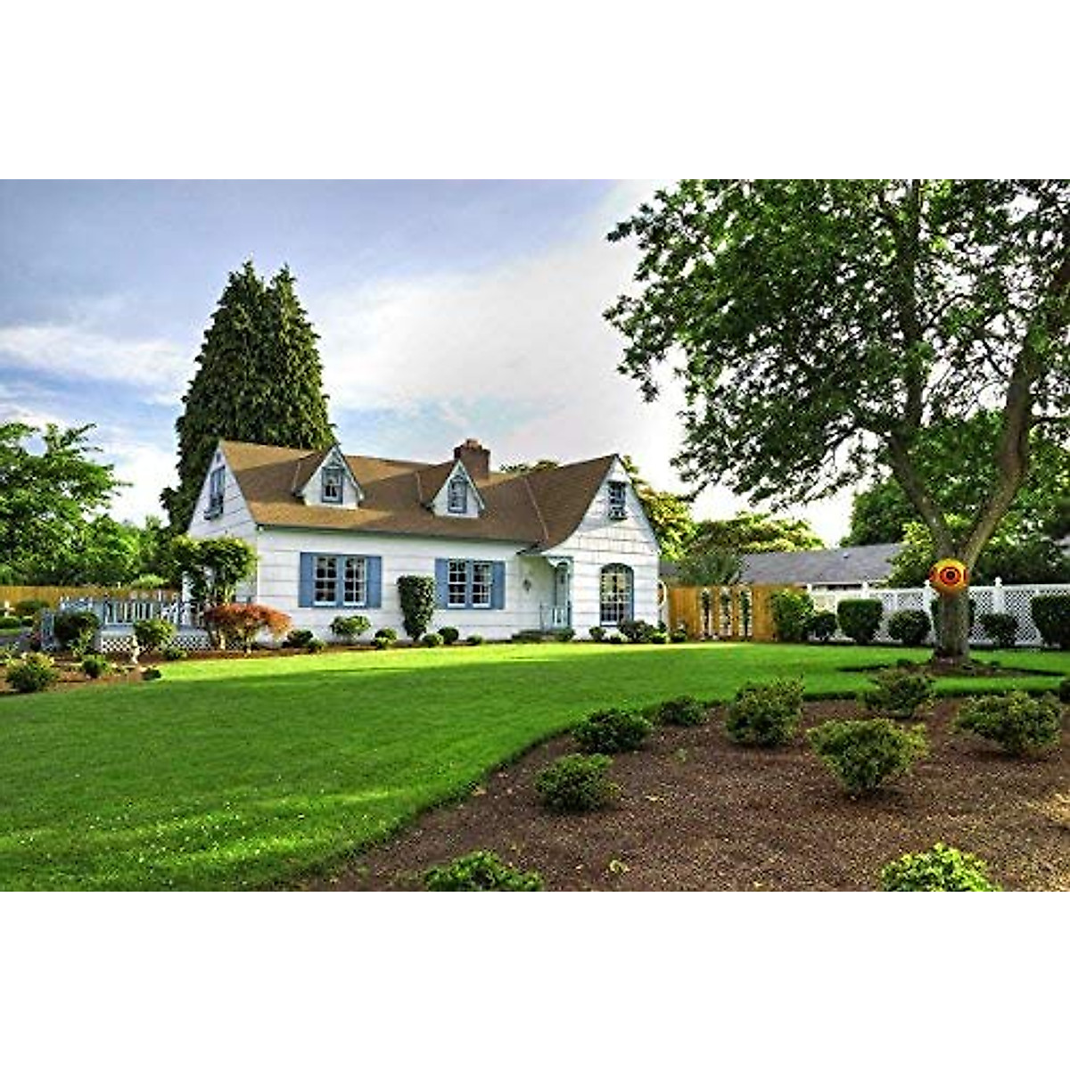 De-Bird Balloon Bird Repellent - 3-Pk - Fast and Effective Solution to Pest Problems - Scary Eye Balloons Keep Birds Away from House, Garden Crops, Swimming Pools & More