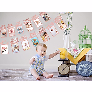 Newmemo 1st Birthday Baby Photo Banner for Girls Baby First Birthday Photograph Banner From Newborn to 12 Month Rose Gold Monthly Milestone Bunting Garland Safari Jungle Baby Shower Birthday Decor