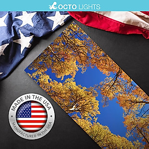 Octo Lights Fluorescent Light Covers for Ceiling Lights Classroom 2x4 (22.38in X 46.5in) Improve Focus, Eliminate Headaches, Provide Florescent Light Relief - Tree 010