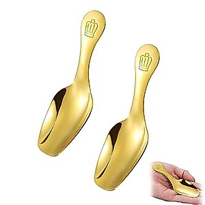 Mini Scoop for Canisters Stainless Steel Salt Spoon Candy Scoops Condiments Spoon Dessert Spoon Sugar Spoon for Tasting, Coffee, Ice Scream, Cake