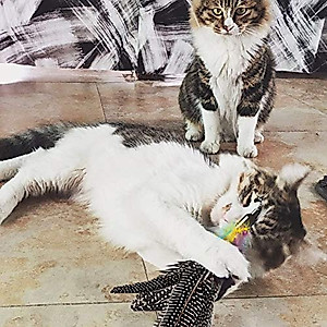 Highland Farms Select Handmade Natural Feather Cat Toy Dah Bird Refills - Interactive Cat and Kitten Toy - 6 Pack