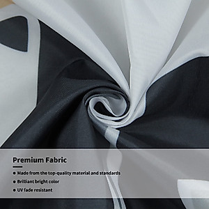 Probsin Step Brothers The Interview Flag We're Here to Fuck Shit Up 3x5 Feet Banner Funny Poster Durable Man Cave Wall Flag with Brass Grommets for College Dorm Room Decor,Outdoor,Parties