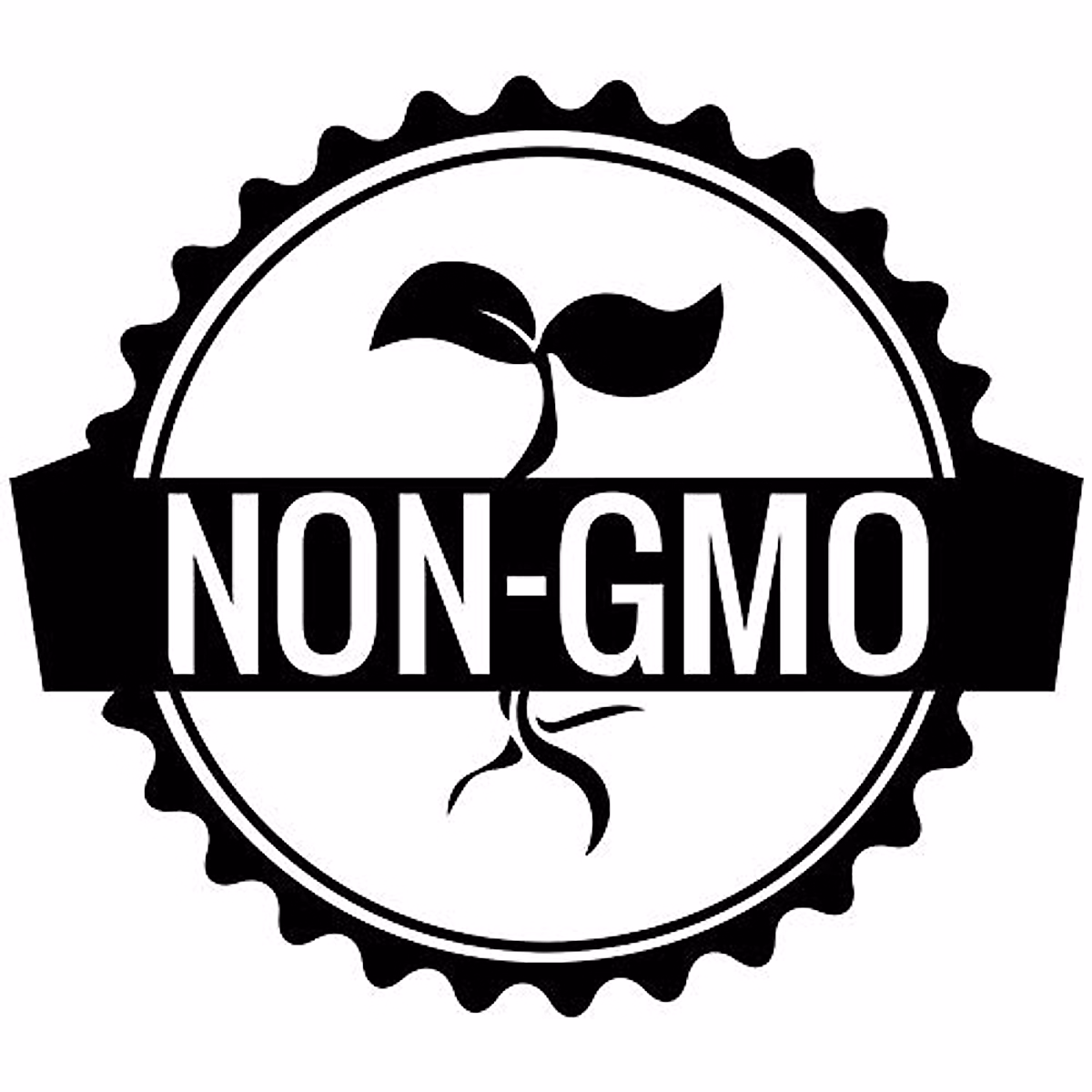 Gaea's Blessing Seeds - Sage Seeds (1.5g) Non-GMO Seeds with Easy to Follow Planting Instructions - Heirloom 88% Germination Rate