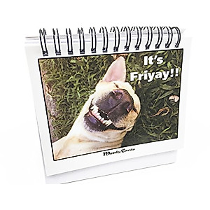 Office Gift for Dog Lovers - Moodycards! Make Everyone Laugh with These Adorable and Hilarious Dog Memes - Let The Dogs Tell Everyone How You Feel! A Terrific Office Gift! 25 Different Moods