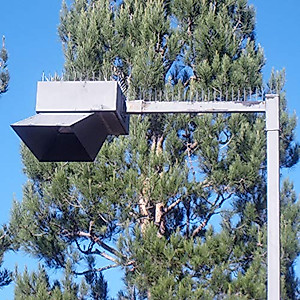 Bird Barrier Dura-Spike Stainless Steel Bird Spikes | Metal Pin Strips for Ledge, Roof, Pipe - Adhesive Included - Xtra Wide (8 in) 25 Ft. Length