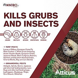 Mineiro 2F Flex Imidacloprid Systemic Insecticide (1 Gal) by Atticus – Grub and Insect Control in Lawns and Landscapes