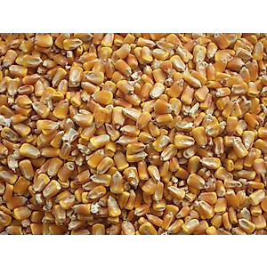 Bulk Whole Corn for Wildlife Feeding (1, 50 Pounds)