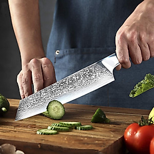 Damascus Chef Knife 8 Inch, Razor Sharp Kitchen Knife Japanese VG-10 Stainless Steel with Premium G10 Handle&Triple Rivet&Gift Box（8 Inches）