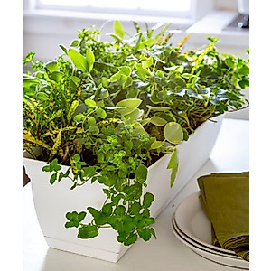 The HC Companies 24" Eclipse PlasticWindow Box 7.76"x24"x6.57" in White Color