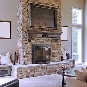 Pleasant Hearth Gavin Medium Black Fireplace Glass Door Screen