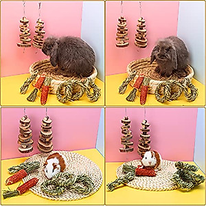 DJun Bunny Chew Toys for Teeth Include Natural Apple Branch String Timothy Hay Sticks Timothy Hay Ring Timothy Hay Carrot for Rabbit Rodents Guinea Pigs Chinchilla Hamster (Style 1)