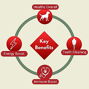 My Pet Carnivore Duck Feet for Dogs All Natural Dog Chew Single Ingredient Dehydrated Duck Feet Without Nails Strengthens Muscles, Immunity, and Digestion (10 PCs)