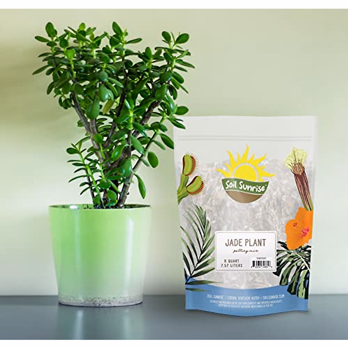 Jade Plant Potting Soil Mix (8 Quarts), Hand Blended Additive for Jade Succulents