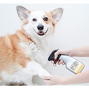 Absorbine Silver Honey Hot Spot & Wound Care Spray Gel, Manuka Honey & MicroSilver BG, Medicated Skin Care & Itch Relief for Dogs, Cats, Small Animals, 8oz Bottle