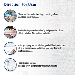 Raid Window Fly Trap, 4 Count (Pack of 6)