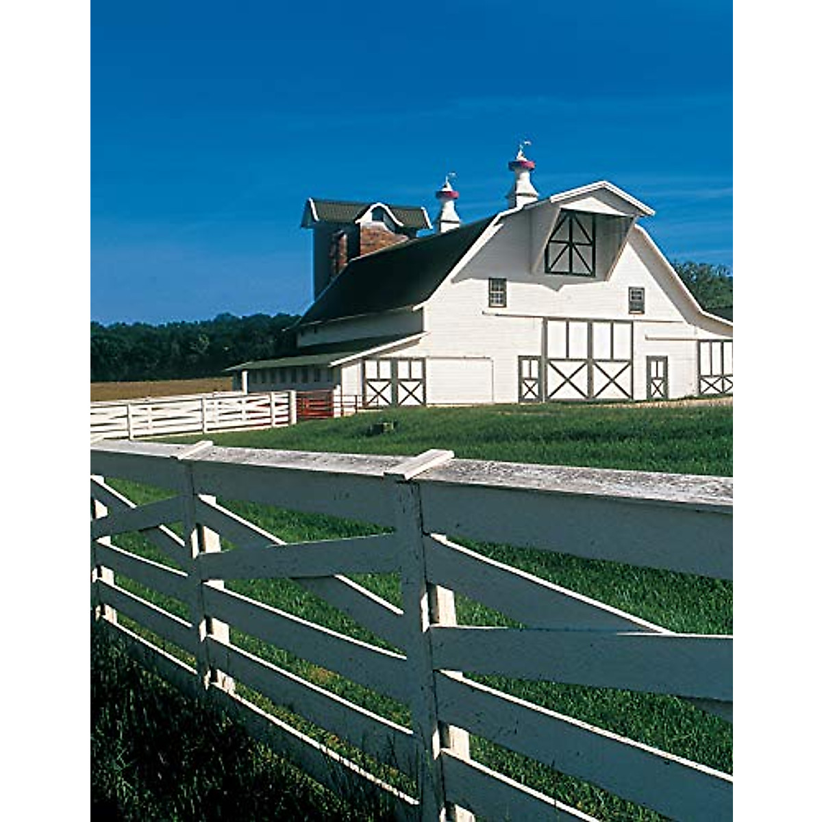 Ultimate Guide: Barns, Sheds & Outbuildings, Updated 4th Edition, Plan/Design/Build: Step-by-Step Building and Design Instructions (Creative Homeowner) Catalog of Plans for More Than 100 Outbuildings