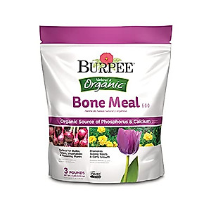 Burpee Bone Meal Fertilizer | Add to Potting Soil | Strong Root Development | OMRI Listed for Organic Gardening | for Tomatoes, Peppers, and Bulbs, 1-Pack, 3 lb (1 Pack)