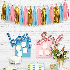 Aonor Gender Reveal Party Decorations - Glitter Letters Baby and Boy or Girl with Hearts Banner, Tissue Paper Tassels Garland Set for Baby Shower Party Decorations
