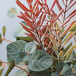 ANGELLOONG Artificial Eucalyptus Plants for Home Decor Indoor, Faux Eucalyptus with Fake Leaves, Potted Silver Dollar Eucalyptus for Home Decor Indoor - 4.6" x 14.5"