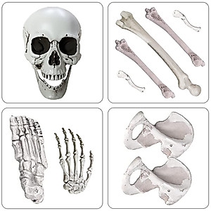 Halloween Skeleton Bones Realistic Looking Skulls Human Skeleton For Halloween Scary Graveyard Haunted House Lawn Yard Decorations(28 pieces）