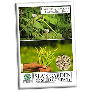 California Blackeye Cowpea Bush Bean Seeds for Planting, 50+ Heirloom Seeds Per Packet, (Isla's Garden Seeds), Non GMO Seeds, Botanical Name: Vigna Unguiculata, Great Bush Bean Variety