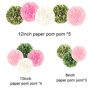 MEIYKO Baby Shower Decorations, 12PCS Sage Green Pink White Tissue Paper Pom Poms for Boho Bridal Shower Birthday Wedding Shower Engagement Party Decorations