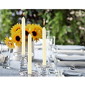BOLSIUS 10 Count Household Ivory Dinner Candles - 9 Inches - Premium European Quality - Approx. 8 Hours Burn Time - Unscented Dripless and Smokeless, Restaurant, Wedding, Spa, and Party Candlesticks