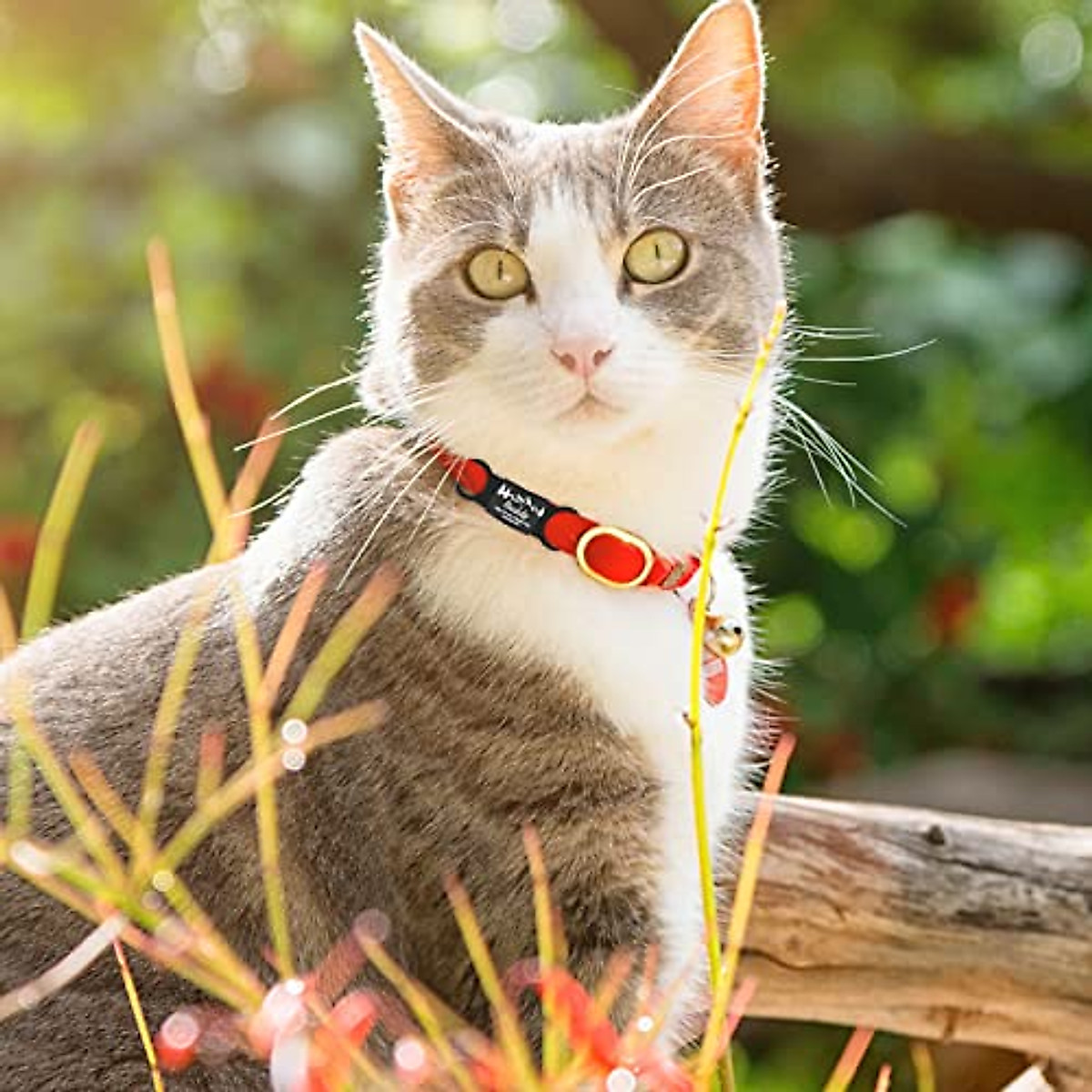 Atdesk Personalized Dog Tags, Slide On Pet ID Tag, Engraved Stainless Steel Cat Collar Tag, No Jingle Dog Name Tag Silent Pet Identification Tags(Large Black)