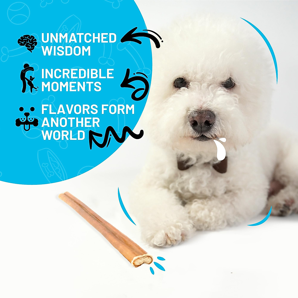 Sitka Farms Bully Sticks Slim 12 inch - 10 Count - Bully Sticks for Dogs - All Natural Long Lasting Dental Treats for Large Medium and Small Dogs, Collagen Chews for Dogs