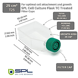 SPL Cell Culture Flask 25 cm² (T25) Filter Cap, Treated, Sterile, 200/Case