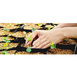 Heirloom Futures Seed Pack with 55 Varieties of Vegetable Seeds. 100% Non GMO Open Pollinated Non-Hybrid Naturally Grown Premium USA Seed Stock for All Gardeners.