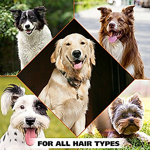 Wahl Cornflower Aloe Pet Deodorant Spray for All Dogs & Cats – Clean Fresh Smell Refreshes & Deodorizes – 8 oz - Model 820009A