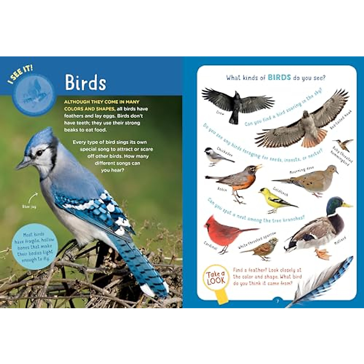 Backpack Explorer: On the Nature Trail: What Will You Find?