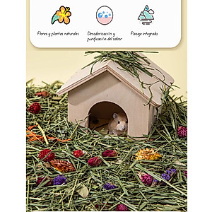 GLOGLOW Small Pet Bedding, Dried Flowers Plants Padding for Squirrels Guinea Pigs Rabbits Chinchillas Hamsters Gerbils(100g) Treats